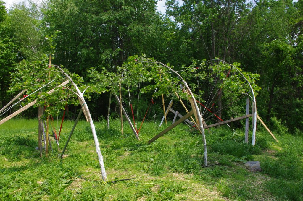 Dan Ladd- Collaboration with Nature – Arts Afield