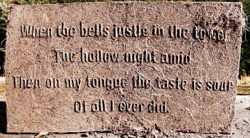 Dan Ladd- Collaboration with Nature – Arts Afield