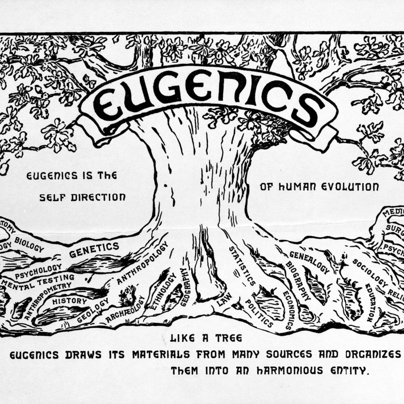 Eugenics at Smith – Uncovering the Eugenic Legacy of Frank Hamilton Hankins