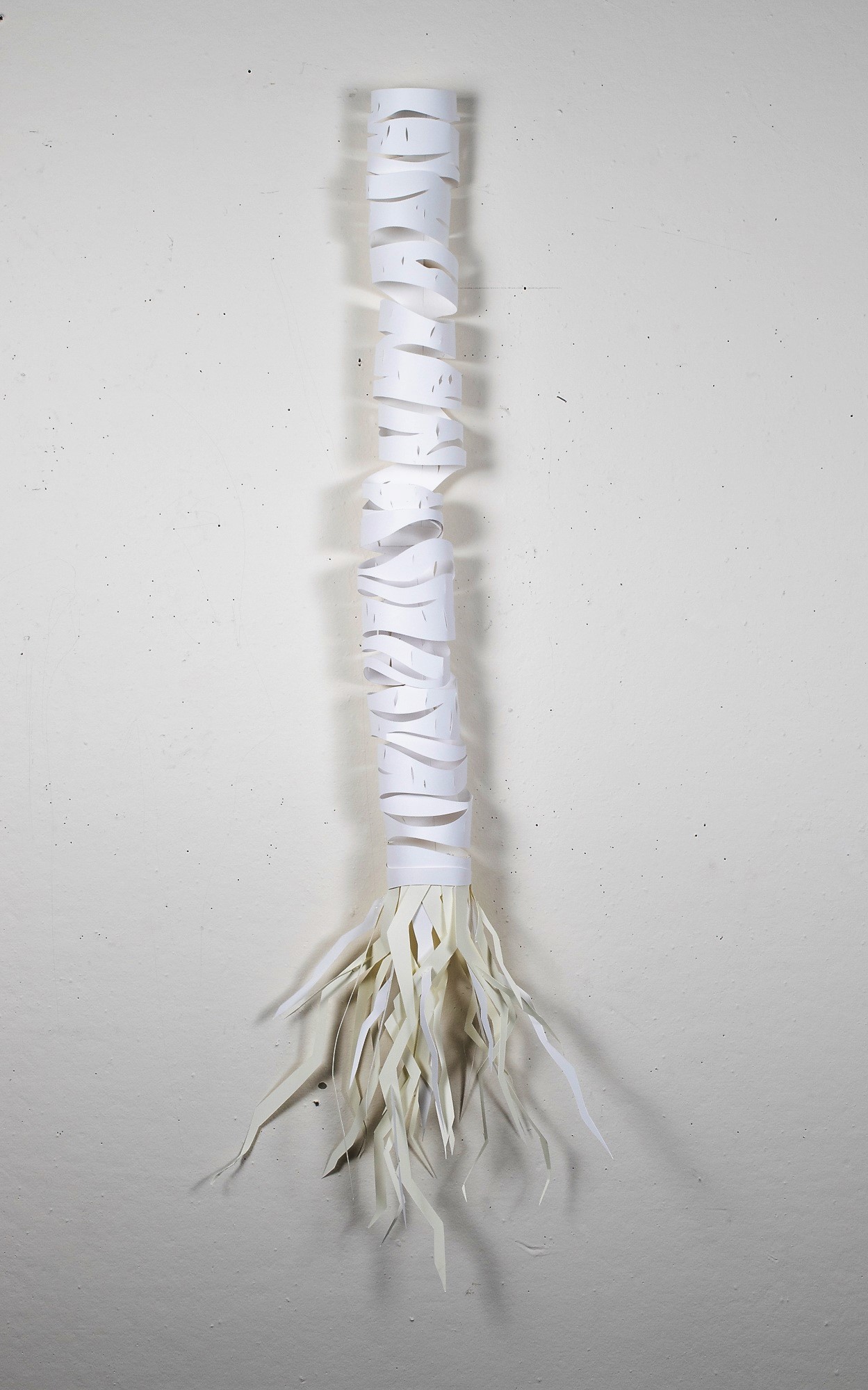 Liz Kidder ’25 | Into the Glasshouse