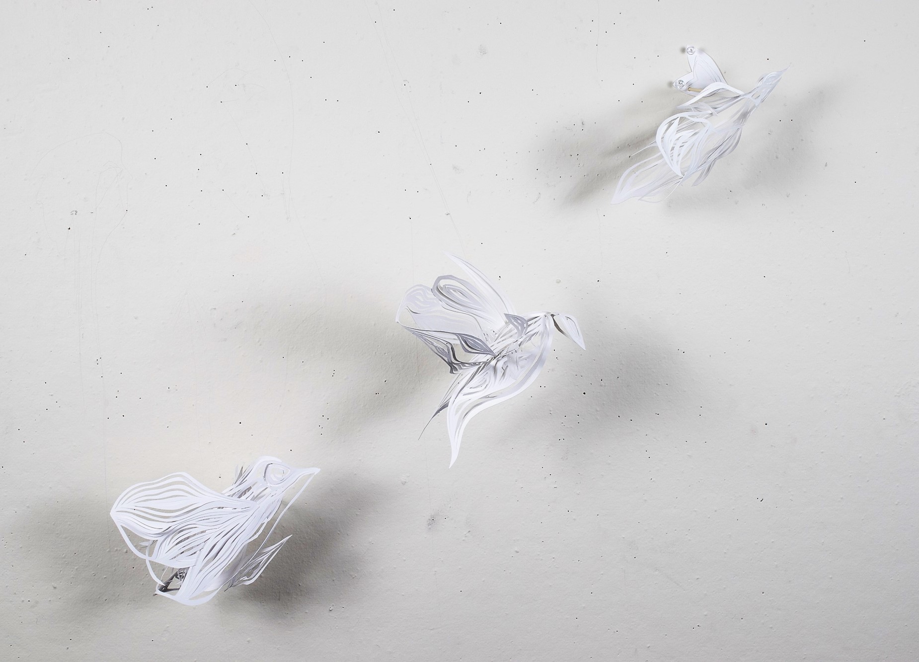 Ilana Diddams ’26 | Into the Glasshouse