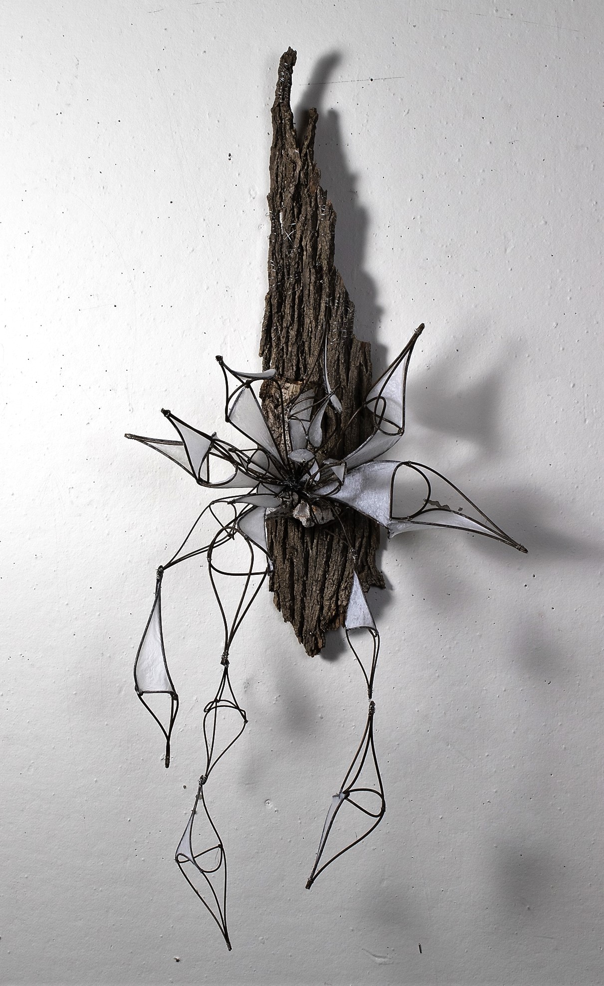 Ilana Diddams ’26 | Into the Glasshouse