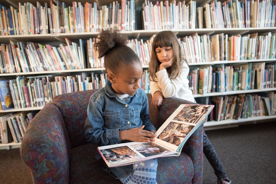 “Mirrors and Windows”: An Overview of Campus School Library Curricula ...