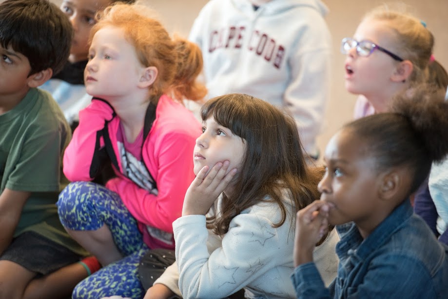 “Mirrors and Windows”: An Overview of Campus School Library Curricula ...