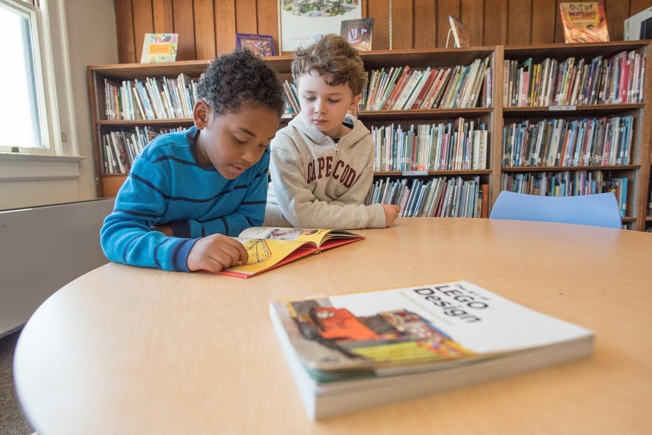 “Mirrors and Windows”: An Overview of Campus School Library Curricula ...