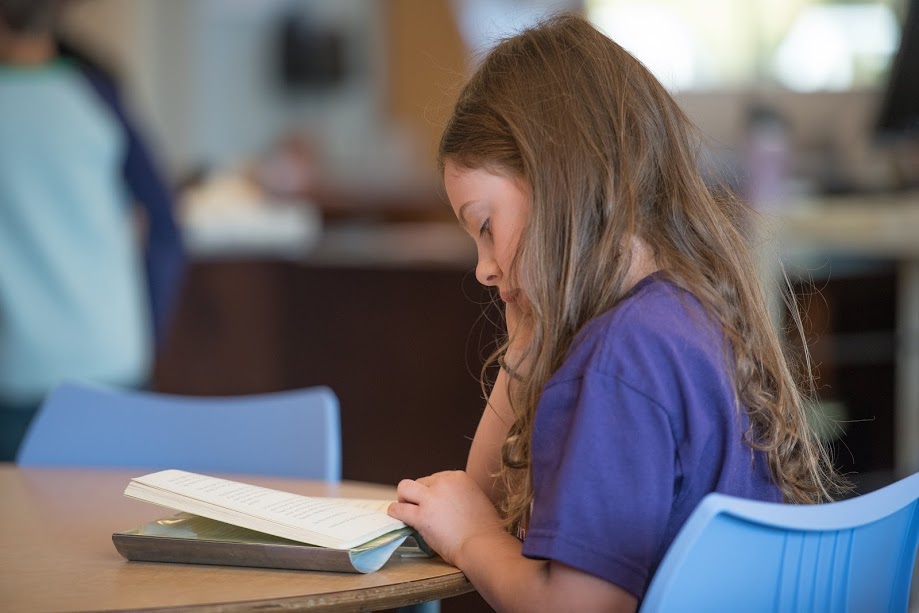 “Mirrors and Windows”: An Overview of Campus School Library Curricula ...