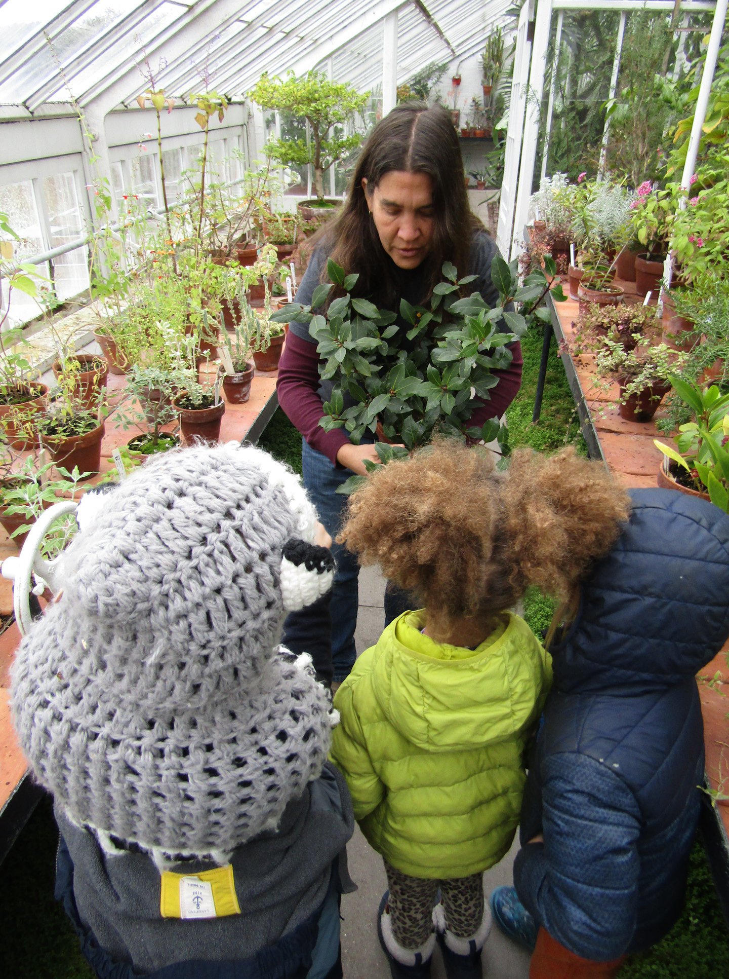 Smith College Botanic Gardens as Campus School Classrooms – The Lab School