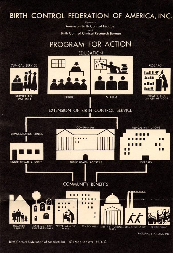 The Negro Project – Making Democracy Real