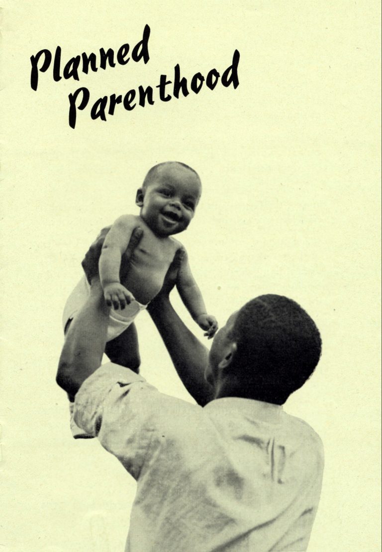 The Negro Project – Making Democracy Real