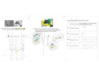 Student Work Math Stories