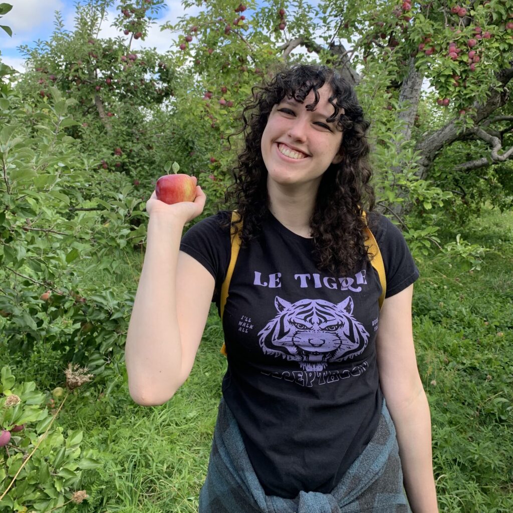 Current Students of CODEX – CODEX