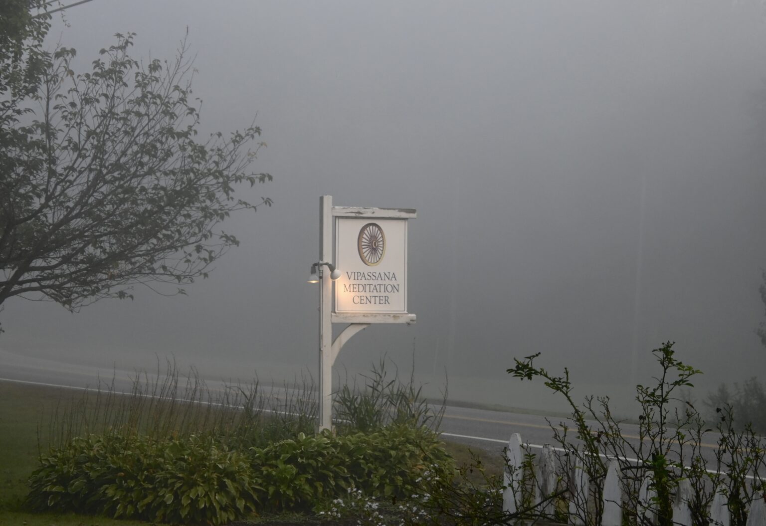 Dhamma Dhara Revelations: Unveiling the Depths of Vipassana – Buddhist ...