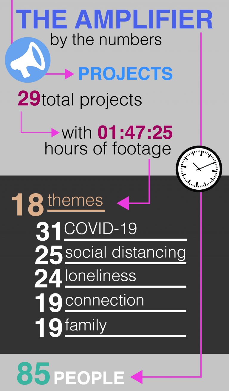 About the Project – The Amplifier Project